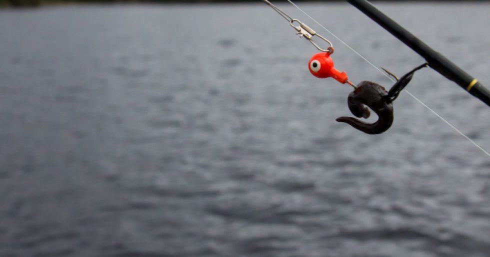 The Best Baits For Freshwater Fishing | Green Bay Trophy Fishing